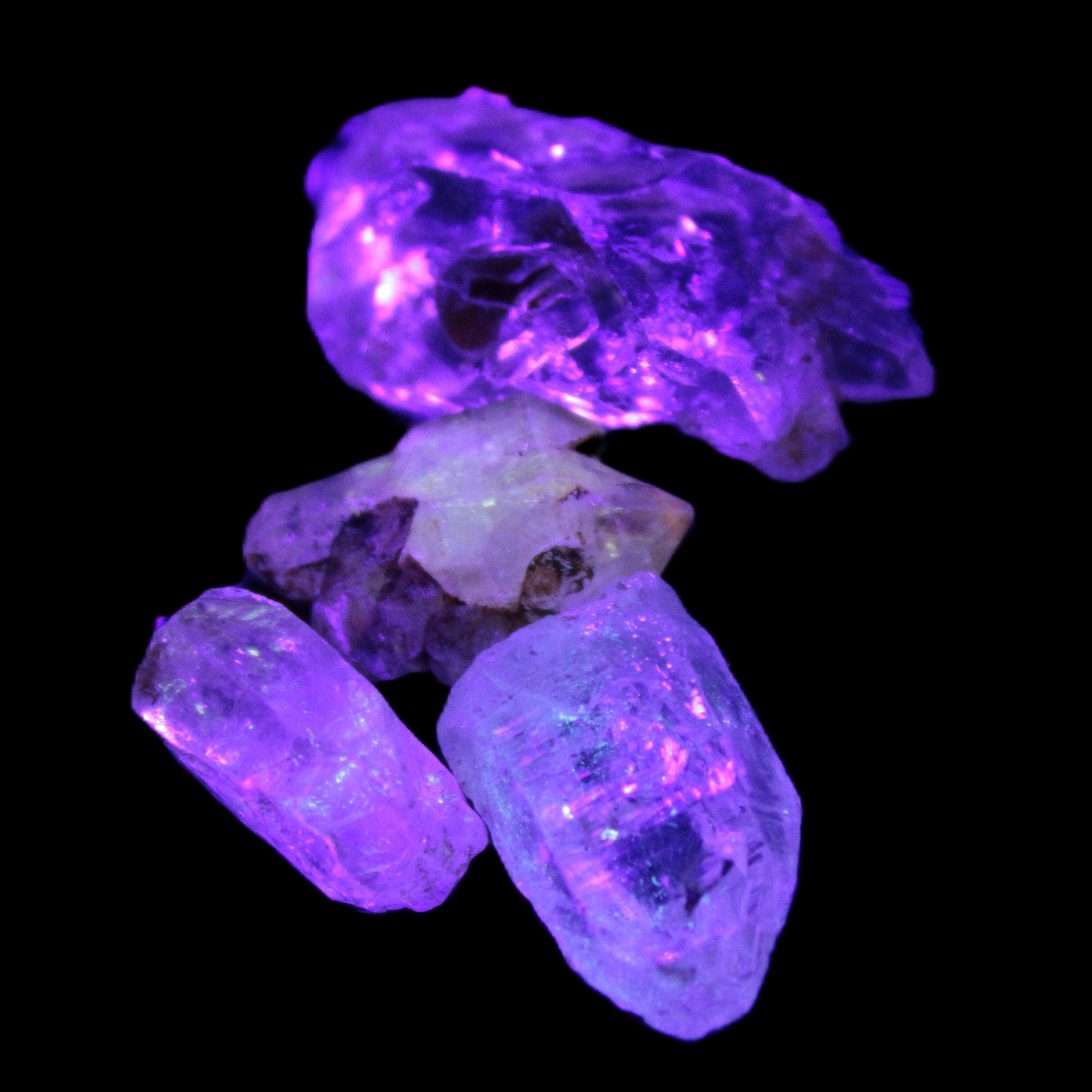Ultra-Violet Light Reactive Collection - Rocks and Things Store